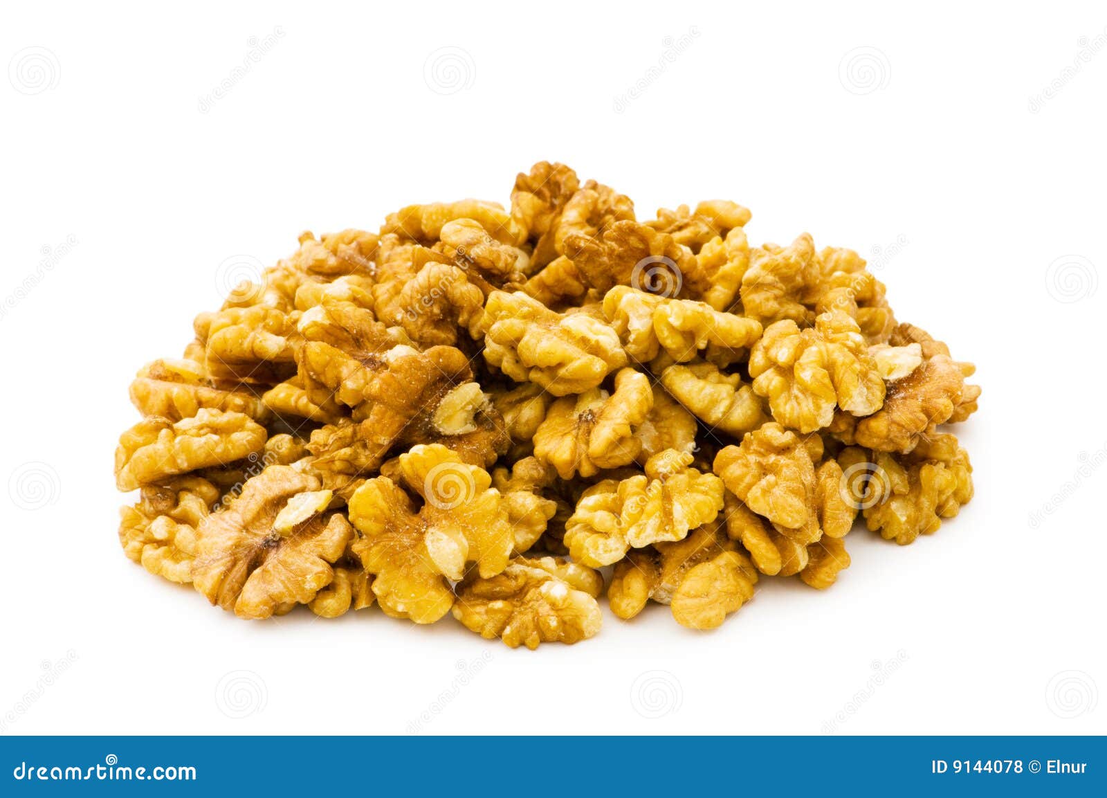 Fresh walnut nuts isolated stock photo. Image of pattern - 9144078