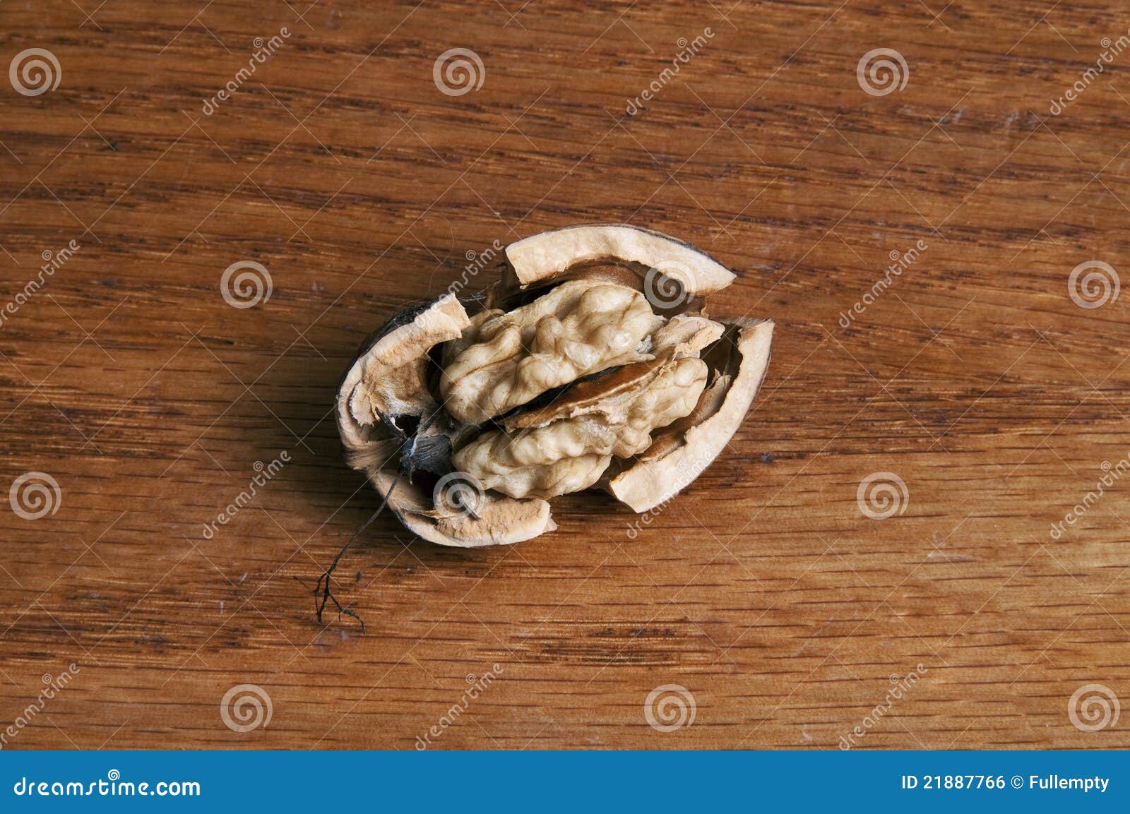 Fresh walnut open stock photo. Image of shell, wood, fruit - 21887766