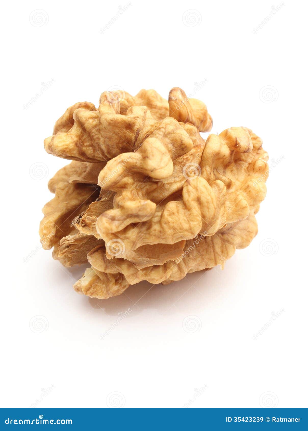 Fresh Walnut without Shell on White Background Stock Image - Image of ...