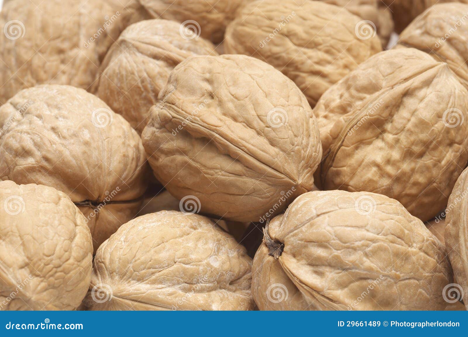 Fresh Walnuts stock image. Image of shell, nutritious - 29661489
