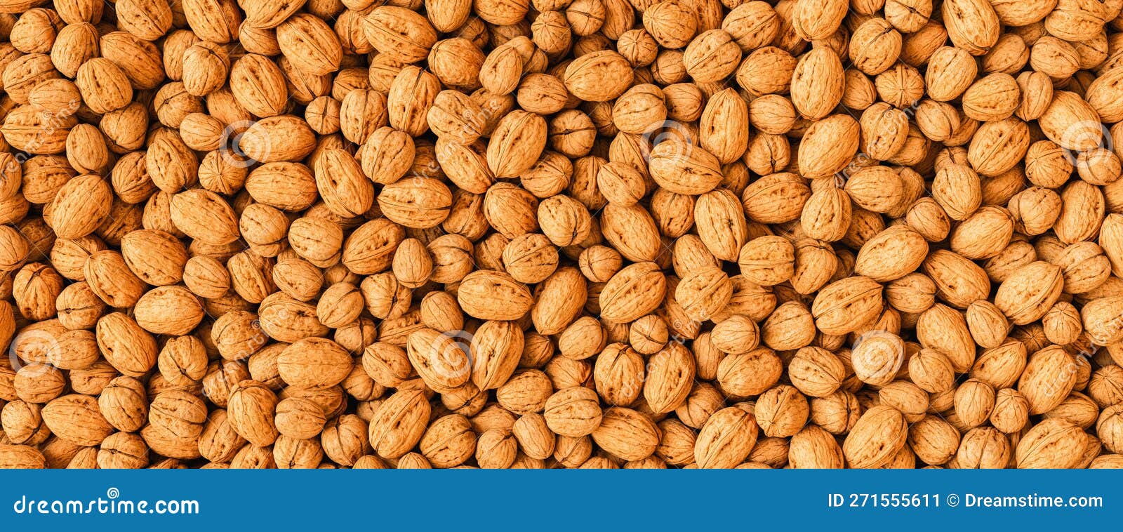 Fresh Walnuts As a Background, Banner Size Stock Image - Image of ...