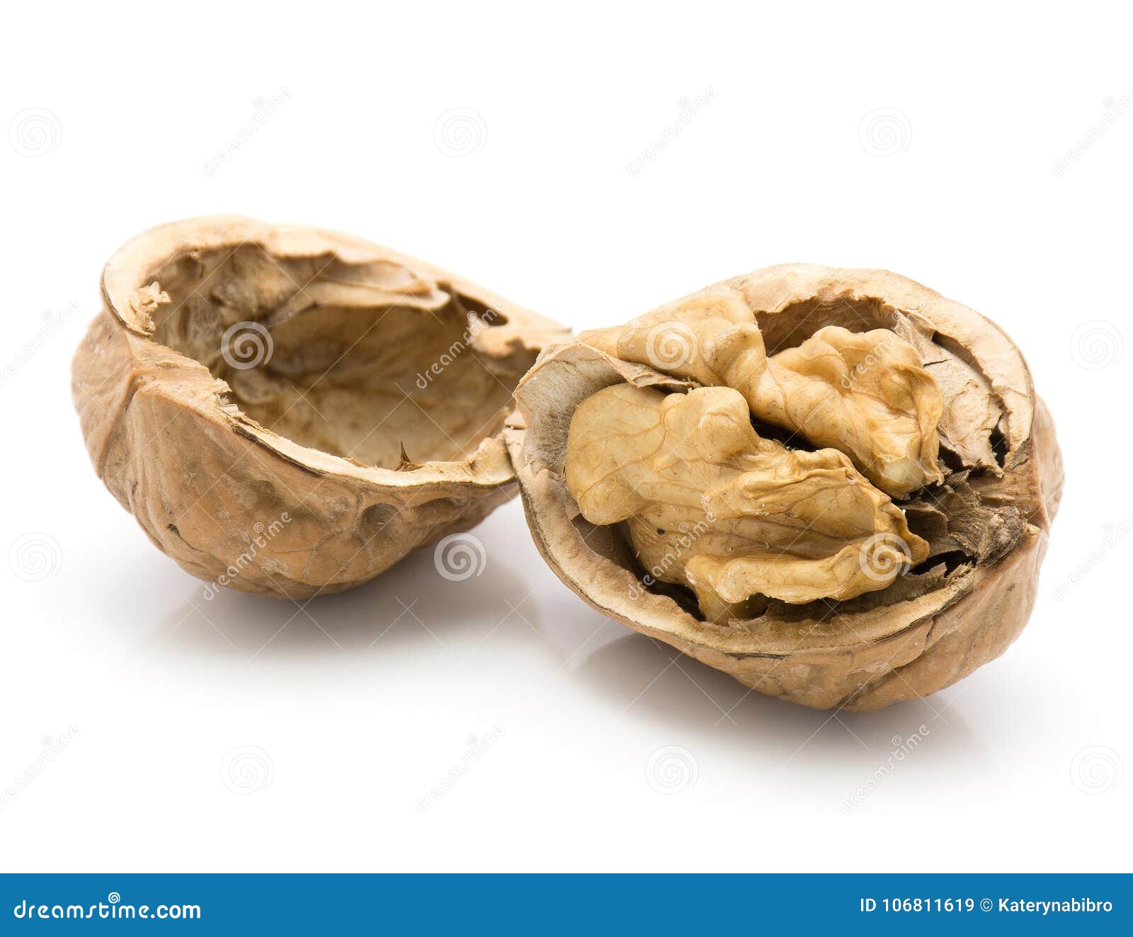 Fresh walnuts isolated stock image. Image of brittle - 106811619