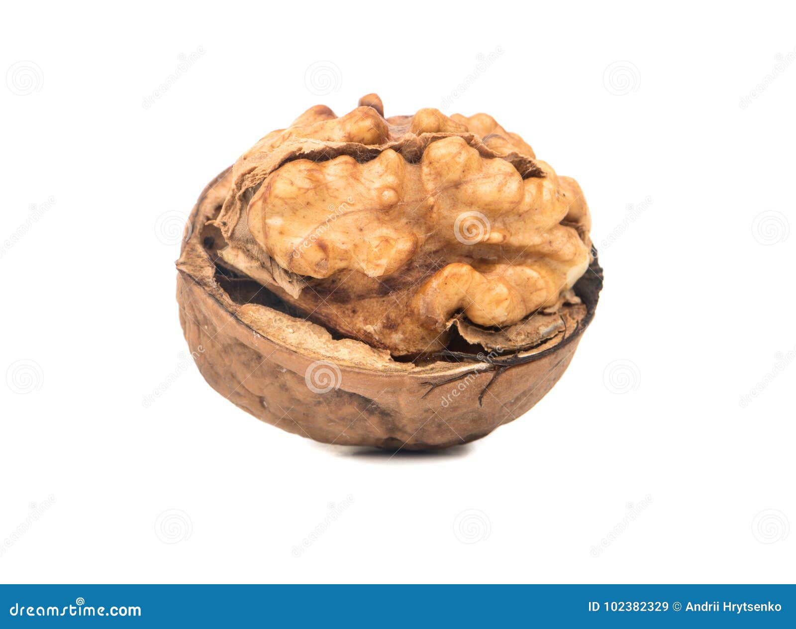 Walnut isolated stock image. Image of background, healthy - 102382329