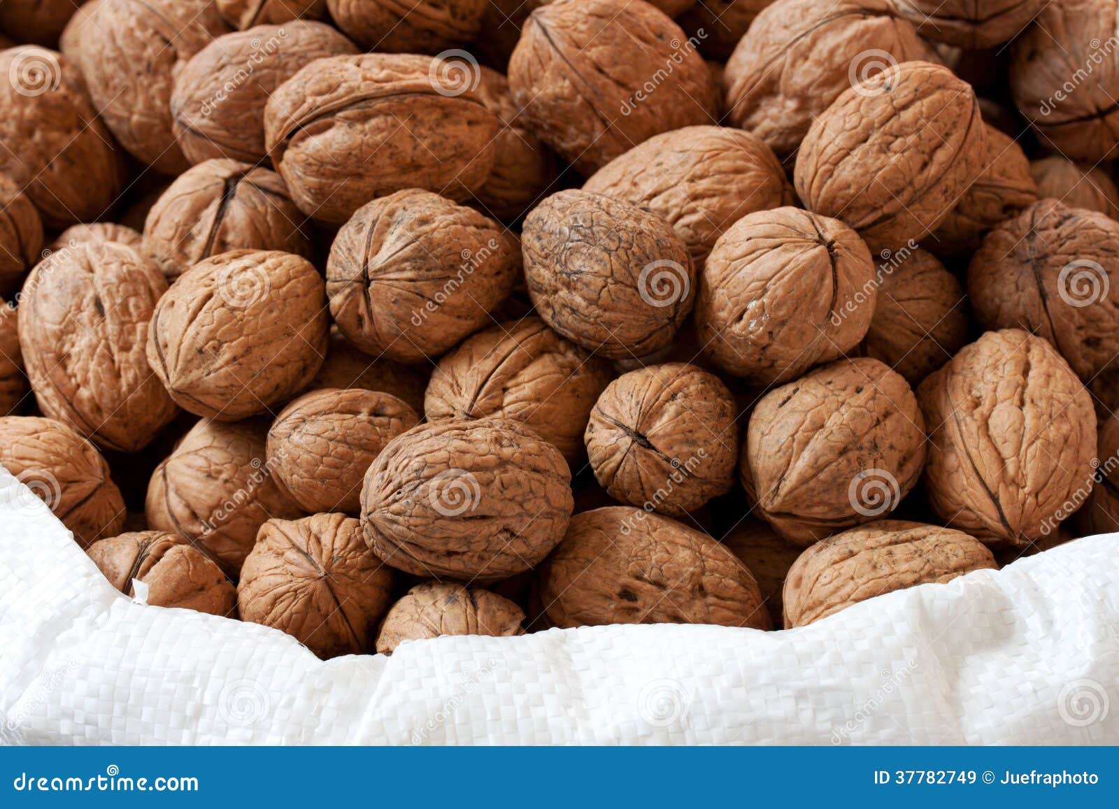 Fresh walnuts stock image. Image of rich, hard, season - 37782749