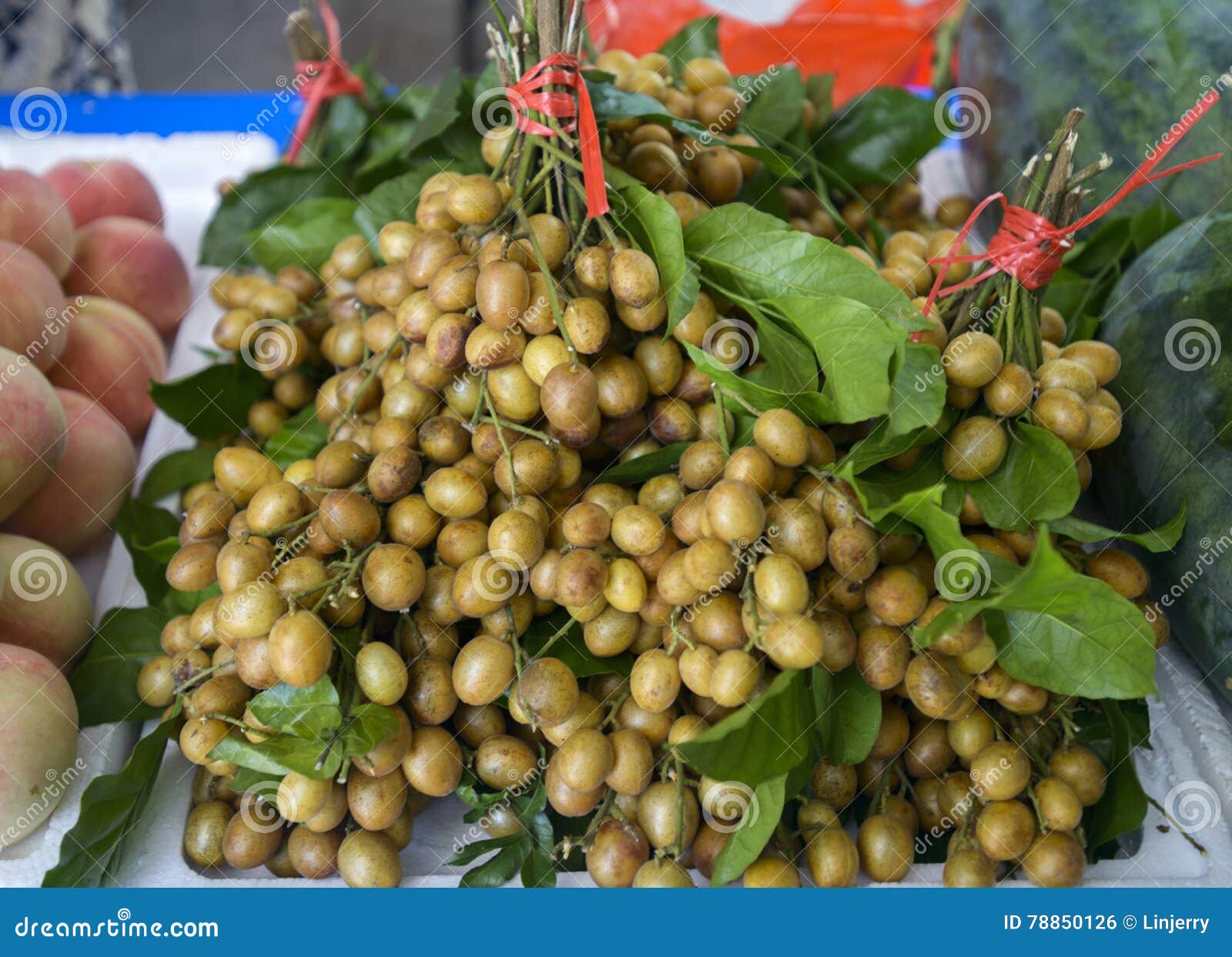 Fresh wampee fruit stock photo. Image of close, dessert - 78850126