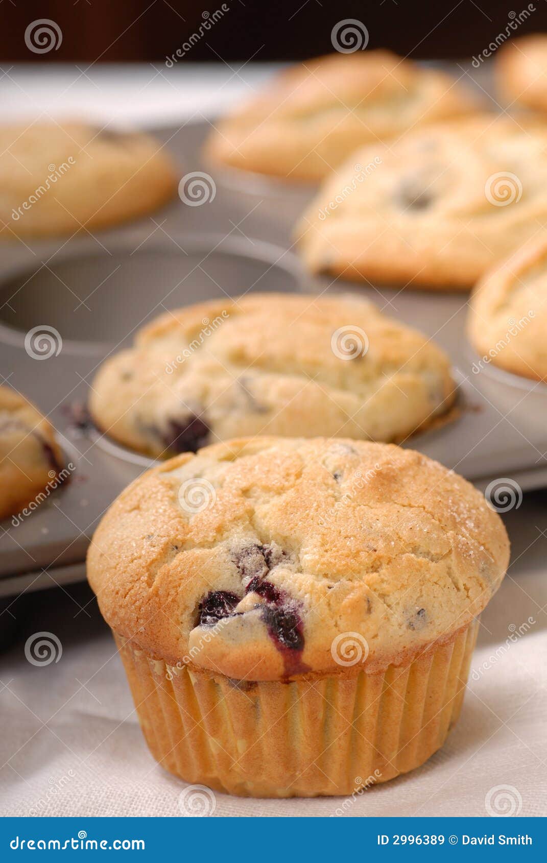 Fresh Warm Blueberry Muffins Stock Image - Image of muffin, eating: 2996389