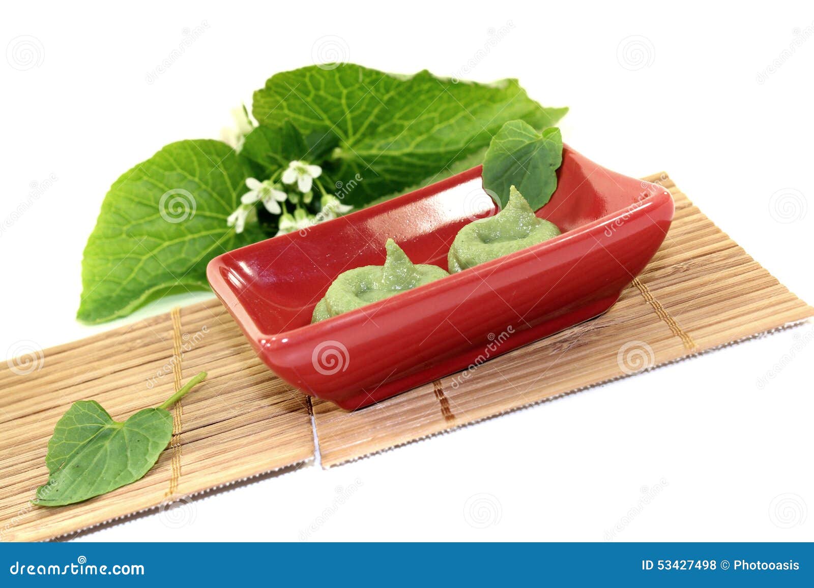 Fresh Wasabi with Leaf and Blossom Stock Photo - Image of herb ...