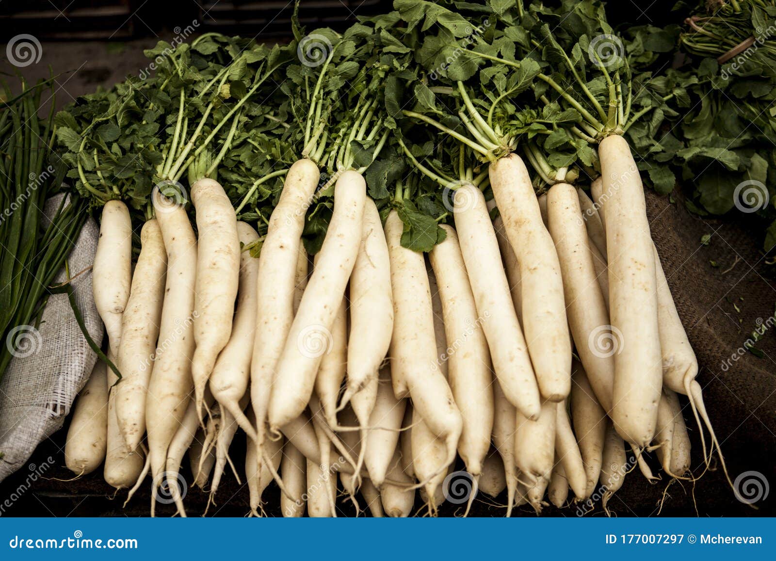 Fresh Washed White Radish at the Vegetable Market Stock Image - Image ...