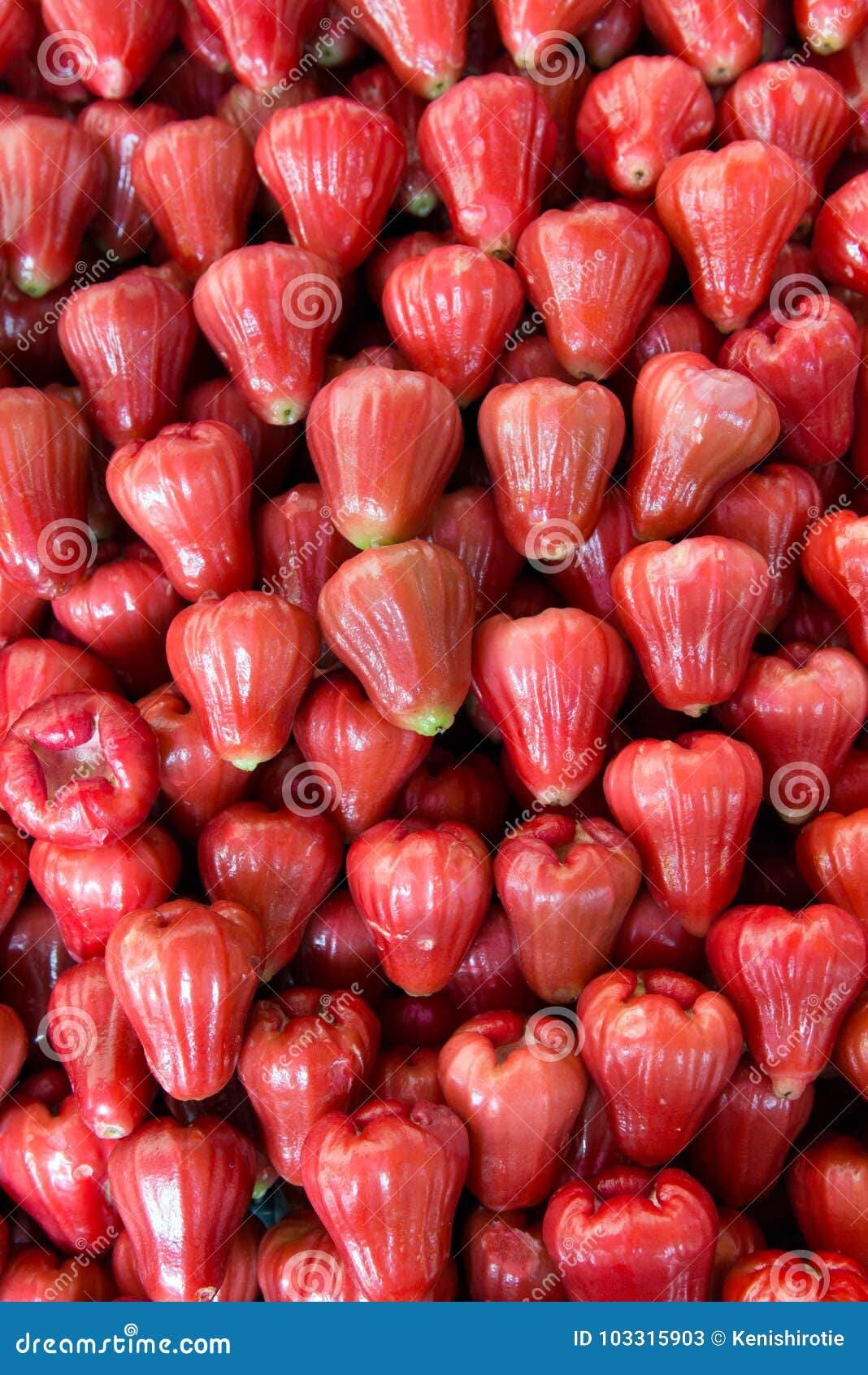 Fresh water apples stock image. Image of water, apples - 103315903