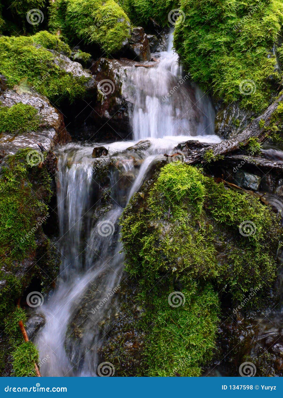 Fresh water cascade stock photo. Image of waterfall, strings - 1347598
