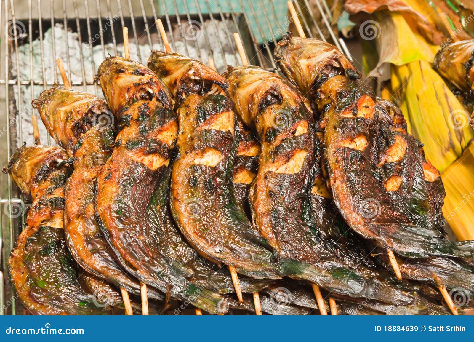Fresh-water catfish grill stock image. Image of copyspace - 18884639