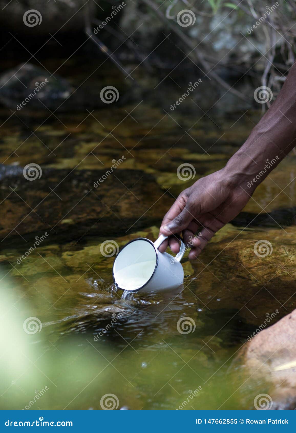 Fresh water collecting stock image. Image of forest - 147662855