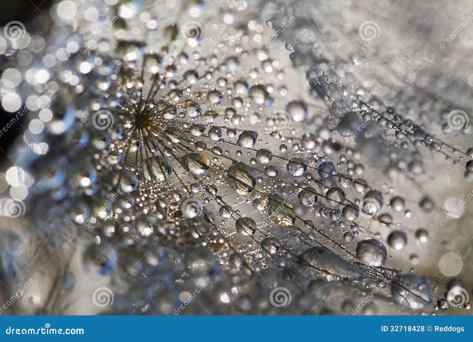 Fresh water drops stock photo. Image of close, background - 32718428