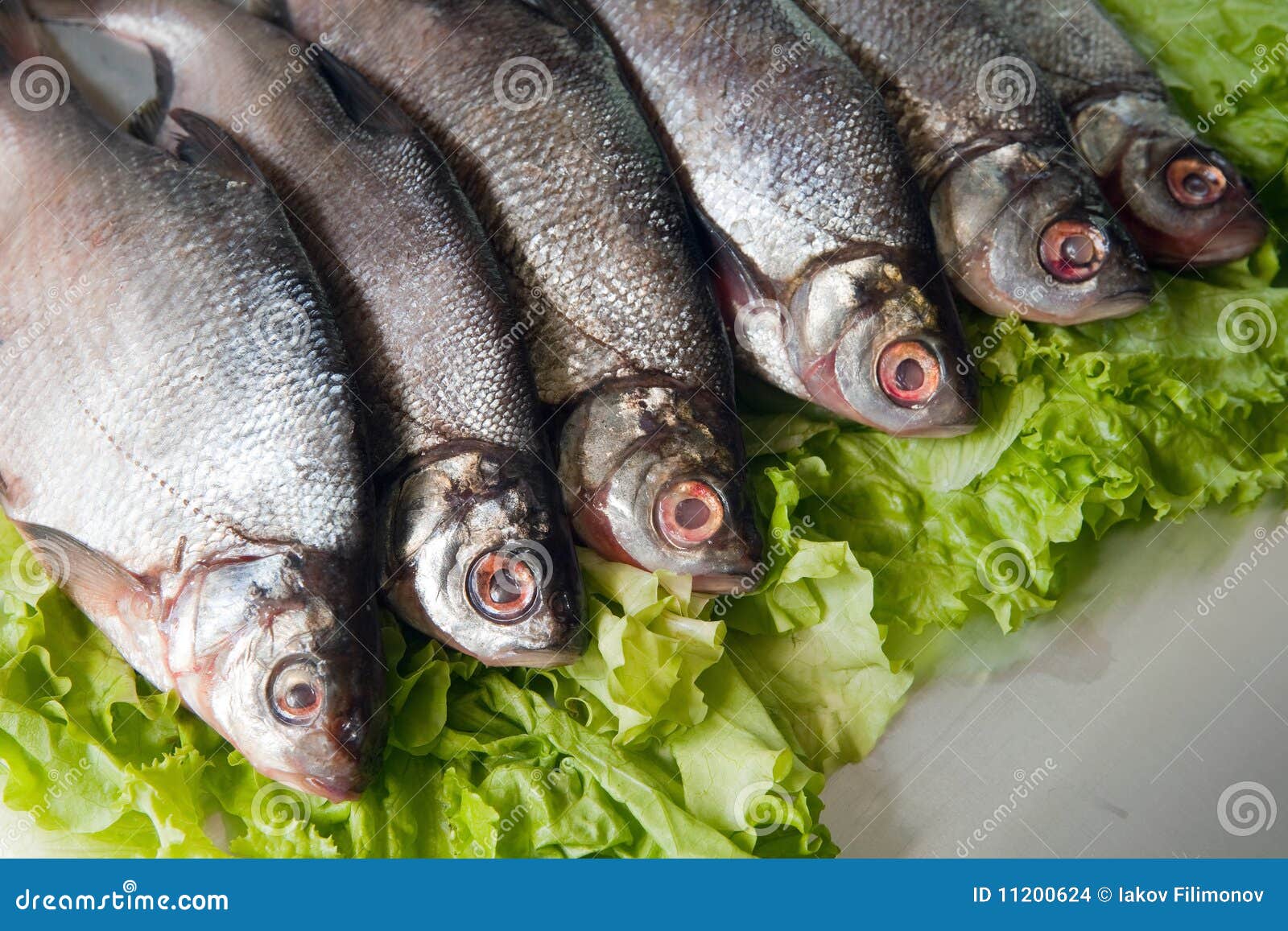 Fresh-water fish stock photo. Image of fish, close, prepared - 11200624