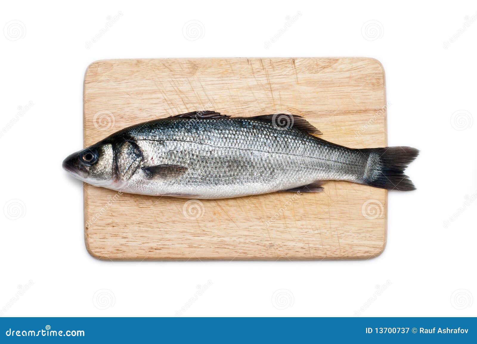 Fresh Water Fish on a Cutting Board Isolated Stock Image - Image of ...