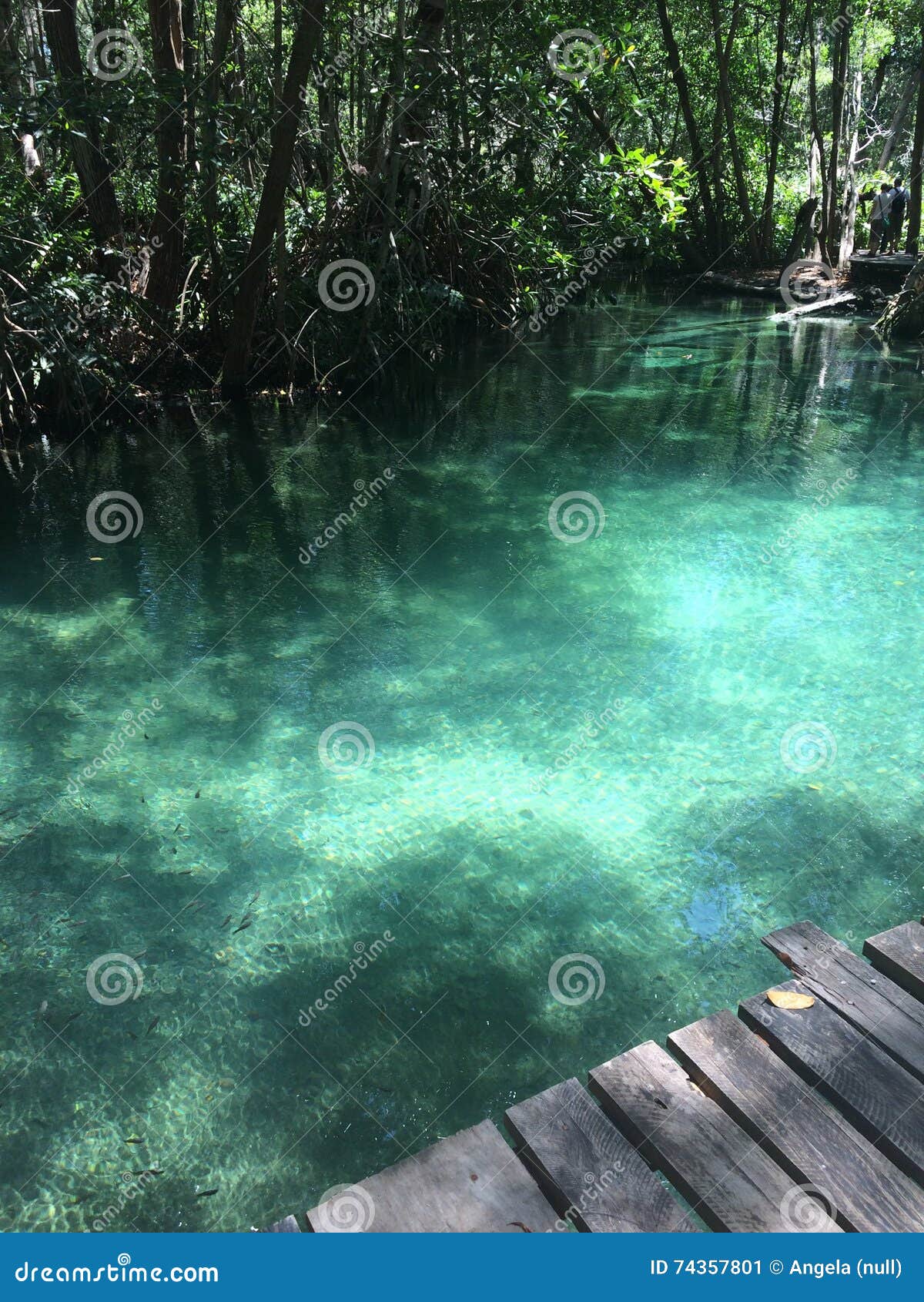 Fresh water stock image. Image of fresh, mexico, water - 74357801
