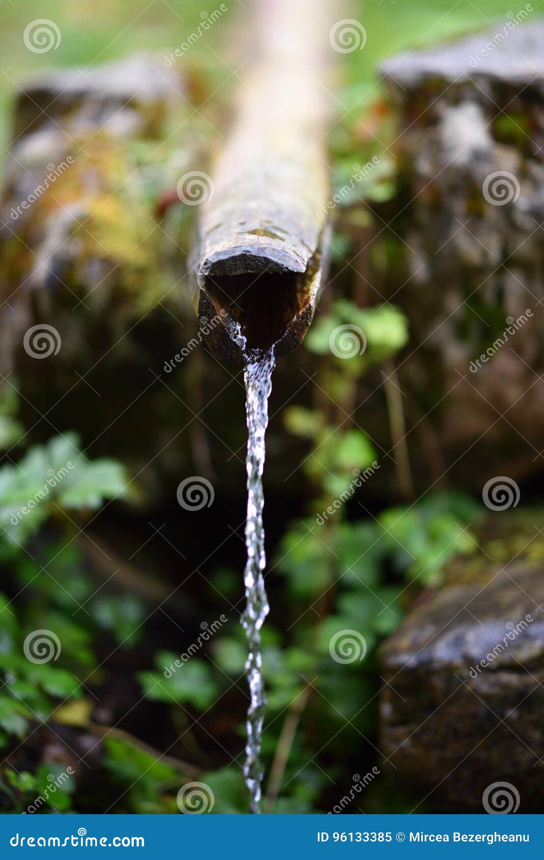 Fresh Water Pouring from Wooden Pipe, Mountain Spring Stock Image ...
