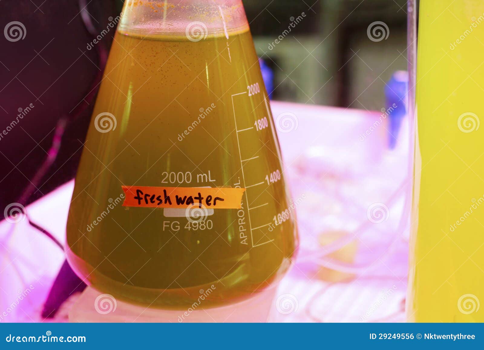 Fresh water sample stock photo. Image of experiment, contamination ...