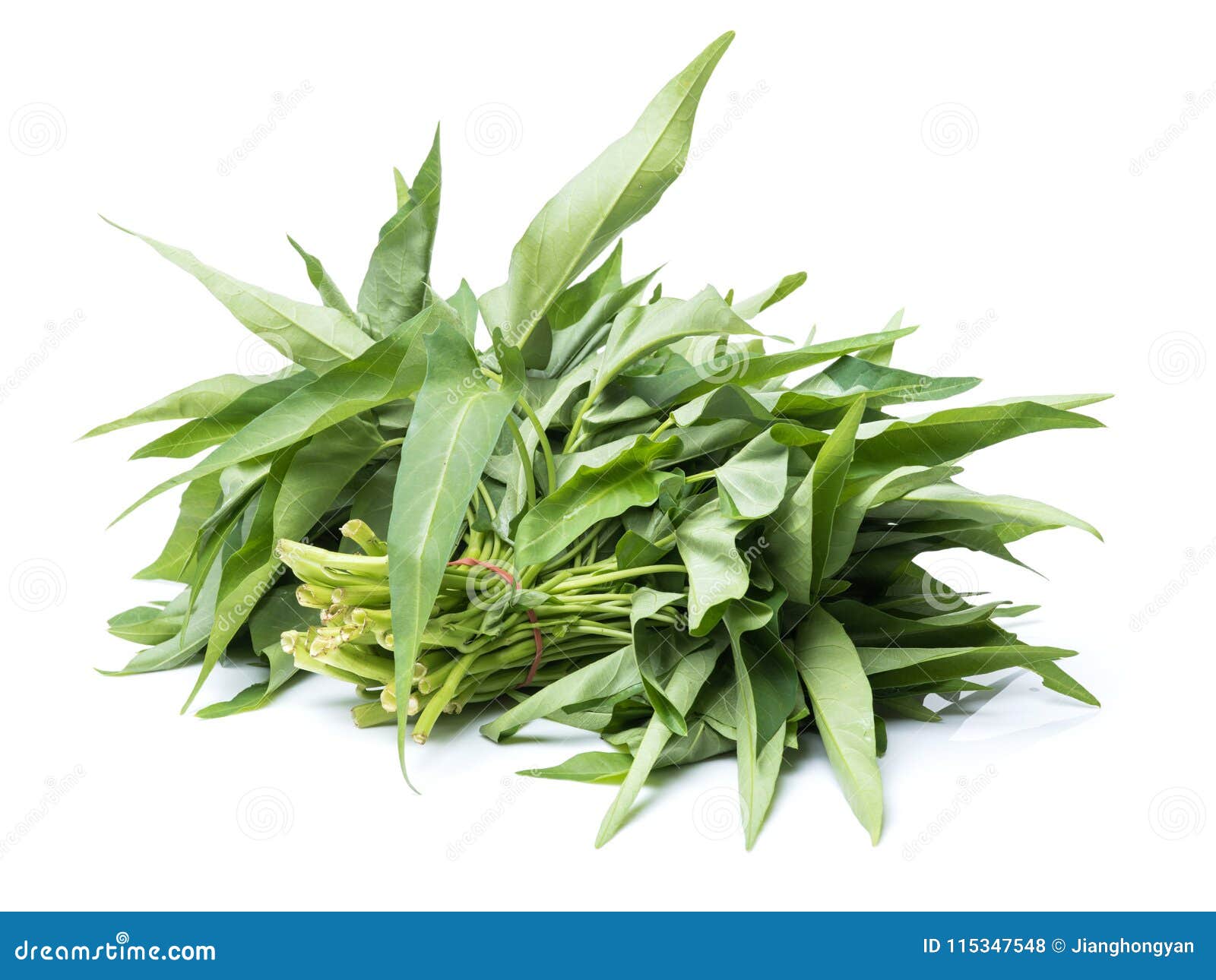 Fresh Water spinach stock photo. Image of leaf, glory - 115347548