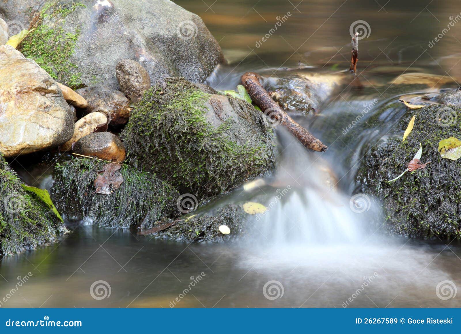 Fresh water spring stock image. Image of spring, flow - 26267589