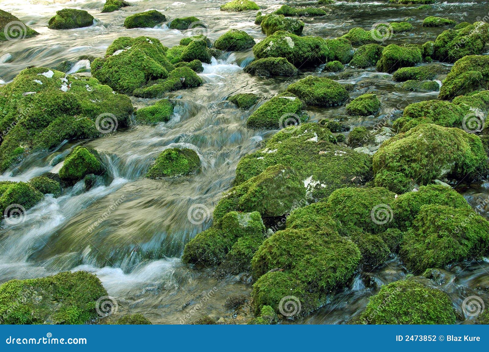 Fresh Water Stream Stock Photography - Image: 2473852