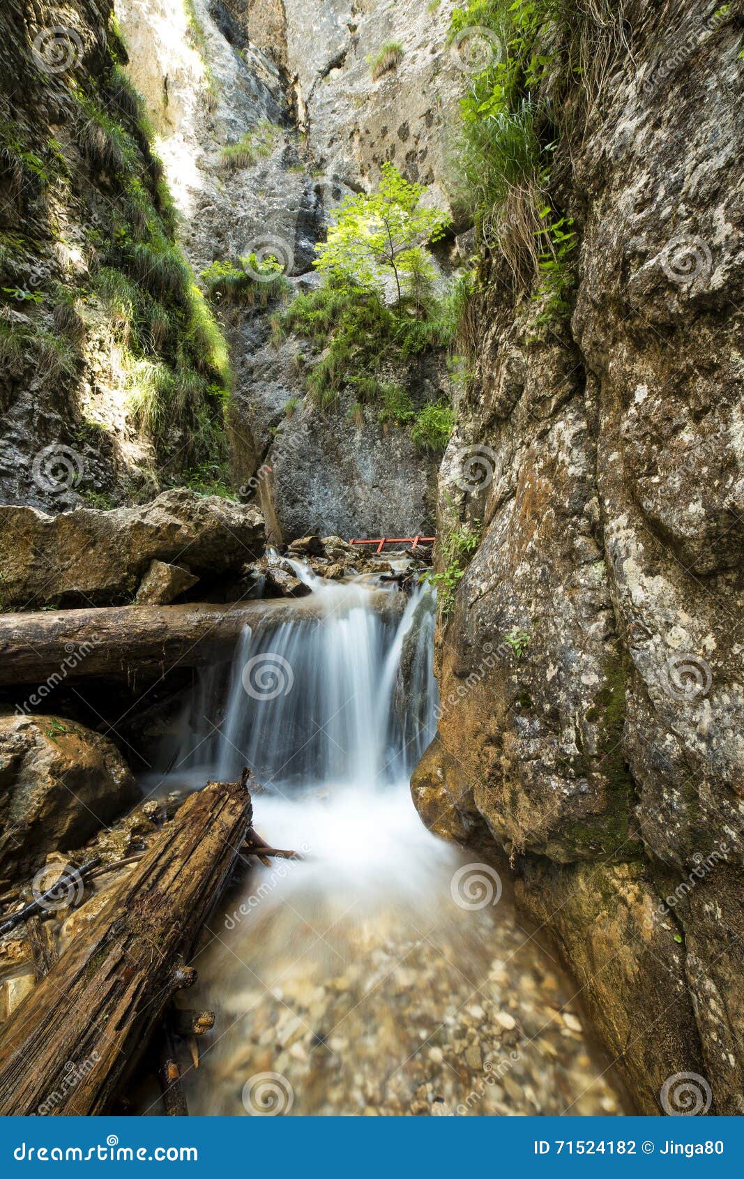 Fresh Water Stream Flowing Down Stock Photo - Image of scenic, green ...