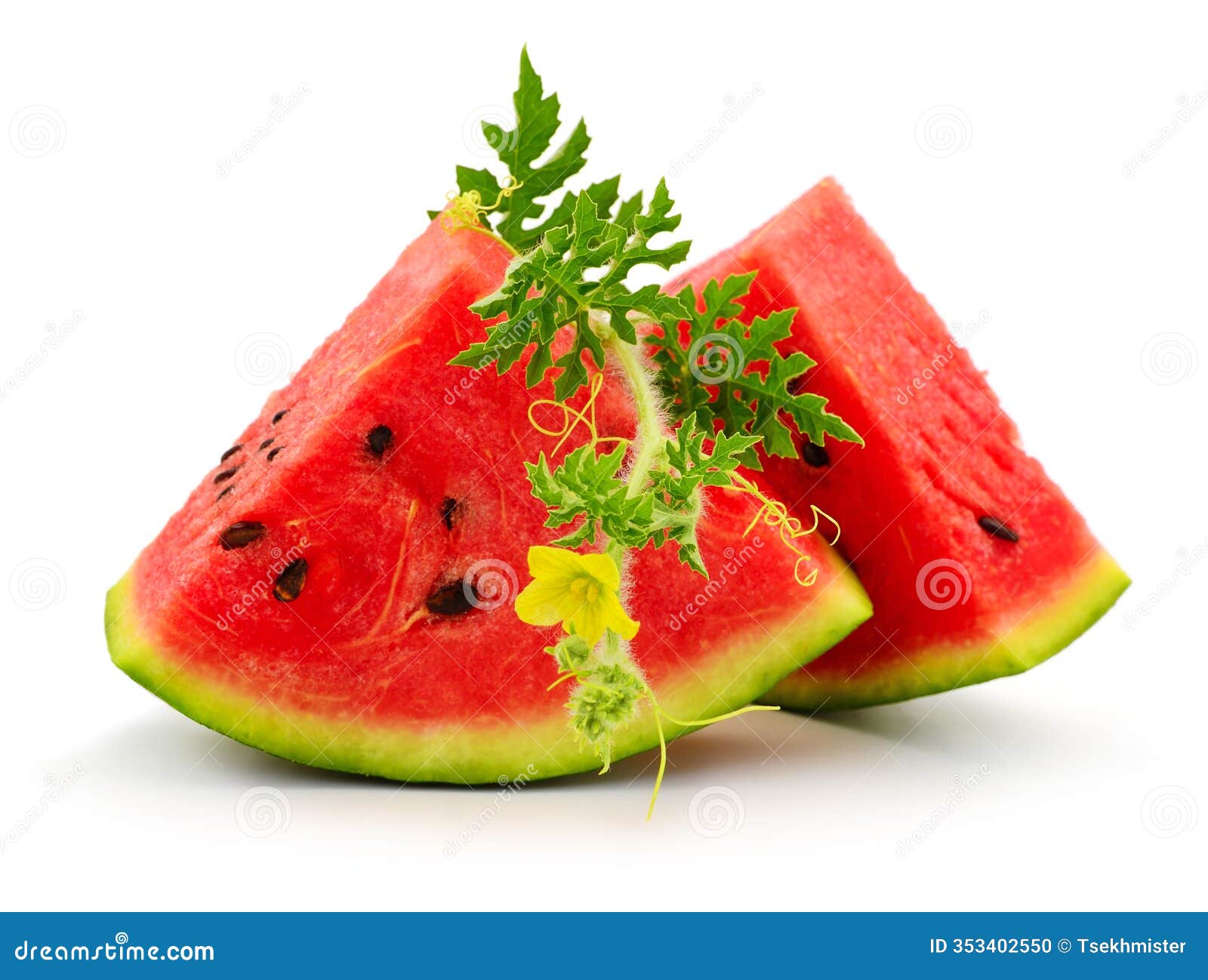 Watermelon Fruit. Circle Watercolor Painted Button Background. Stock ...