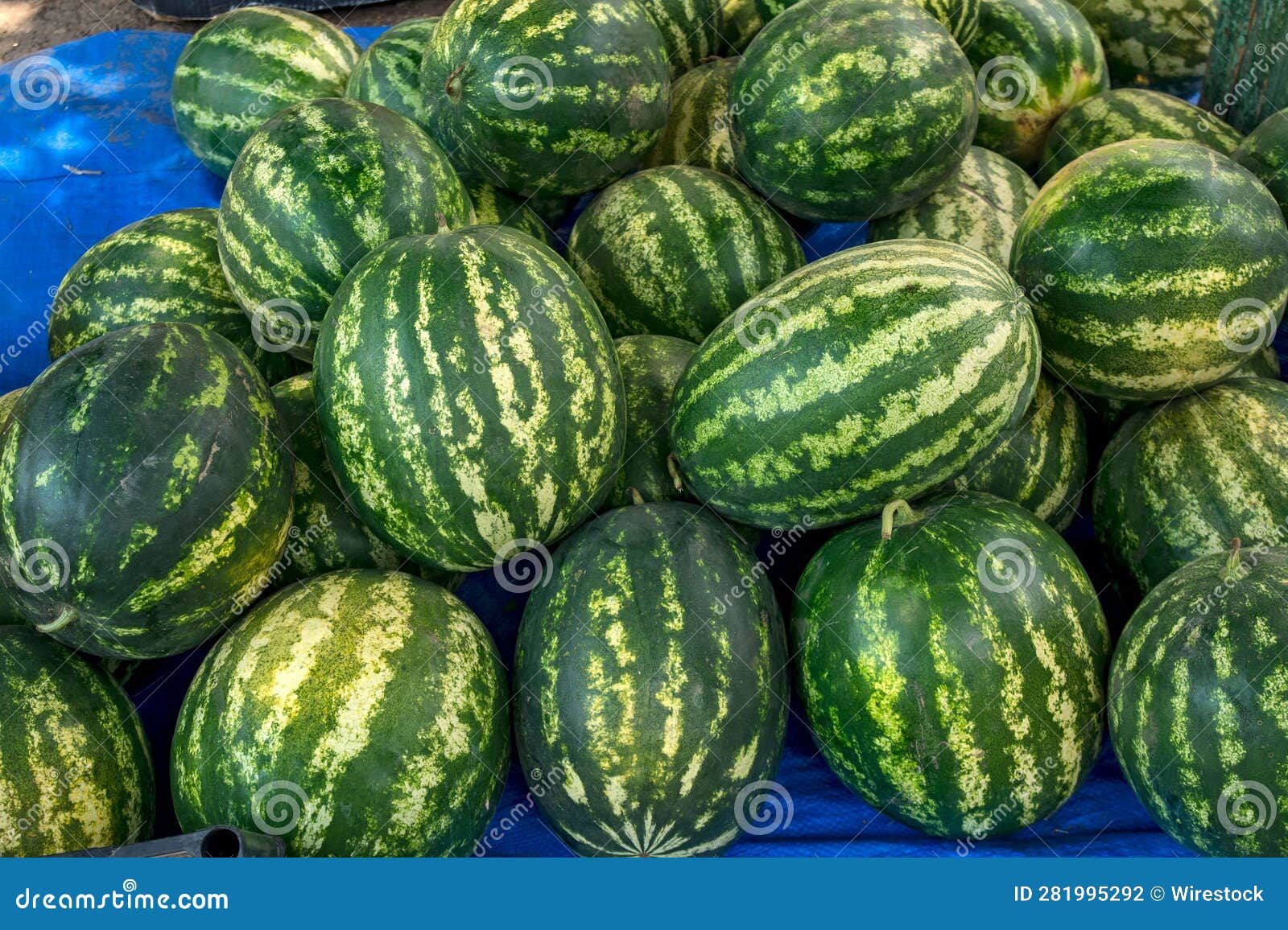 Fresh Watermelons are Piled Up in Blue Buckets Stock Photo - Image of ...