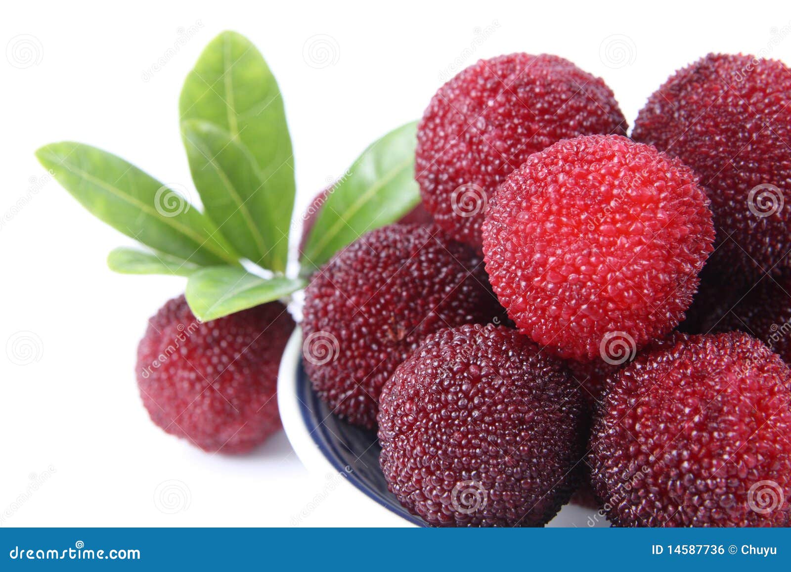 Fresh waxberry stock photo. Image of colourful, purple - 14587736