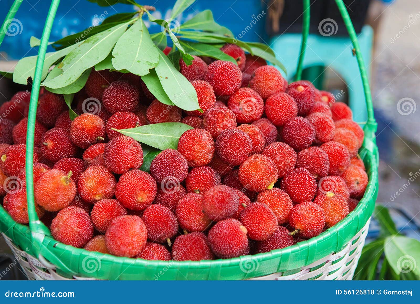 Fresh Waxberry in the Basket Stock Photo - Image of japan, bayberry ...