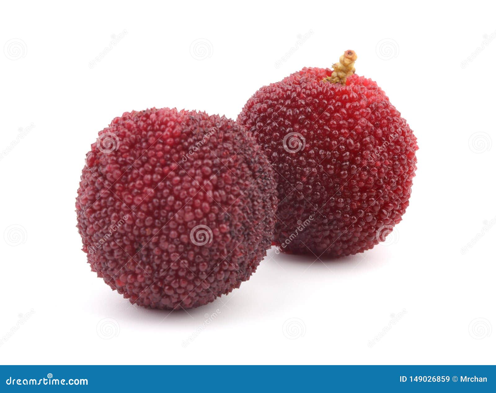 Fresh Waxberry Isolated on White Stock Image - Image of bayberry ...