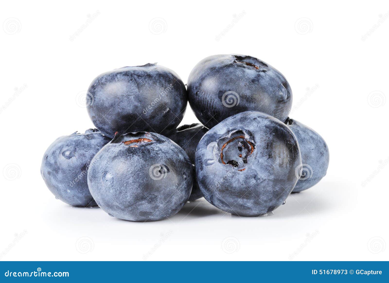Fresh Wet Blueberries Isolated Stock Image - Image of freshness, food ...