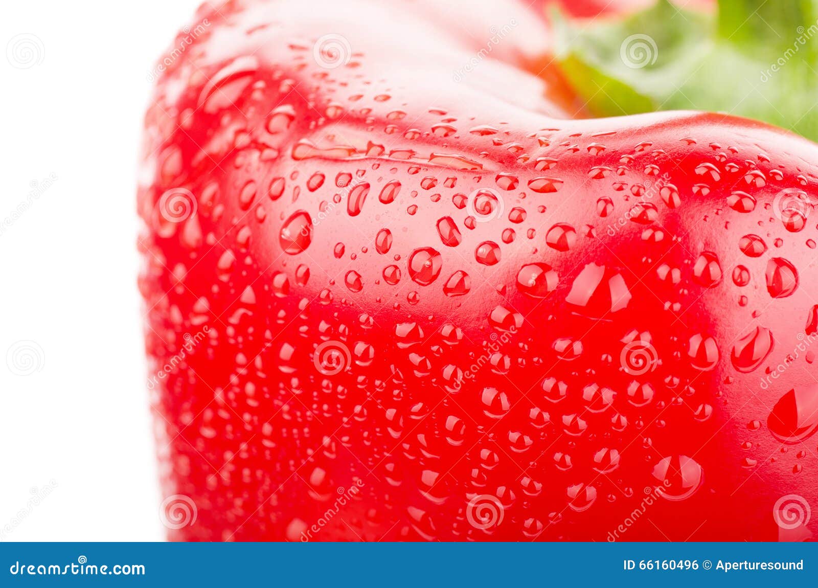 Fresh wet red papper stock photo. Image of kitchen, fresh - 66160496