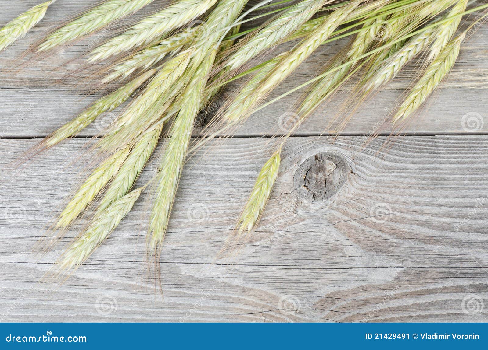The fresh wheat stock image. Image of background, flour - 21429491