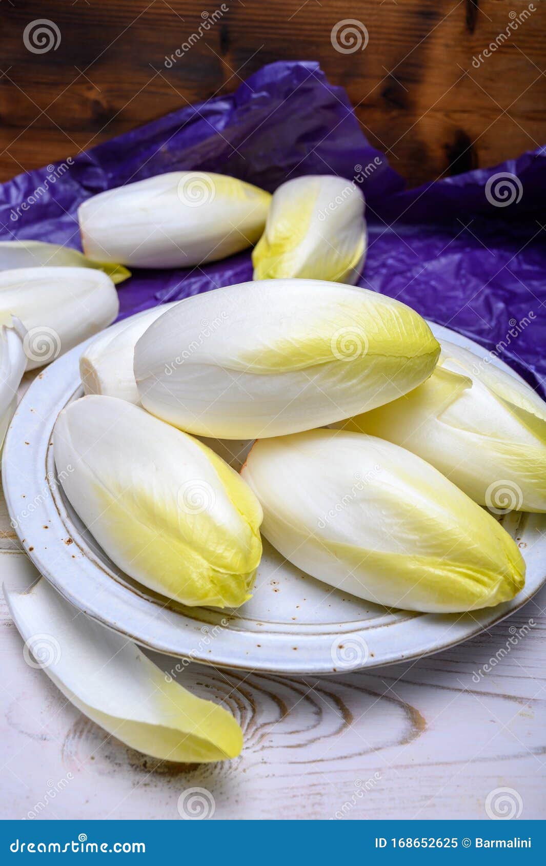 Fresh White Belgian Endive or Chicory Heads Stock Image - Image of ...