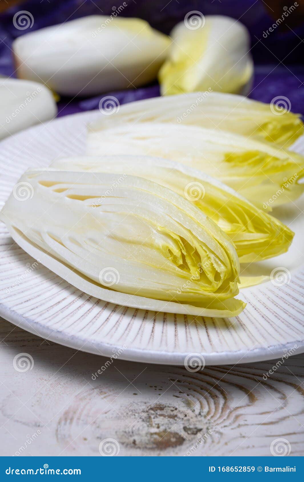 Fresh White Belgian Endive or Chicory Heads Stock Image - Image of ...