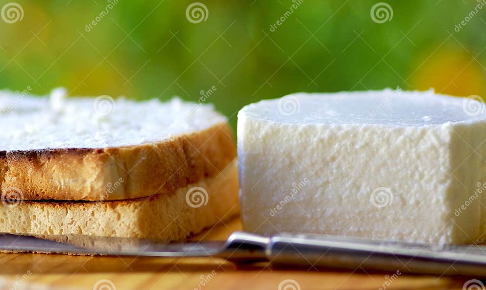 Fresh white cheese . stock image. Image of isolated, healthy - 12160523