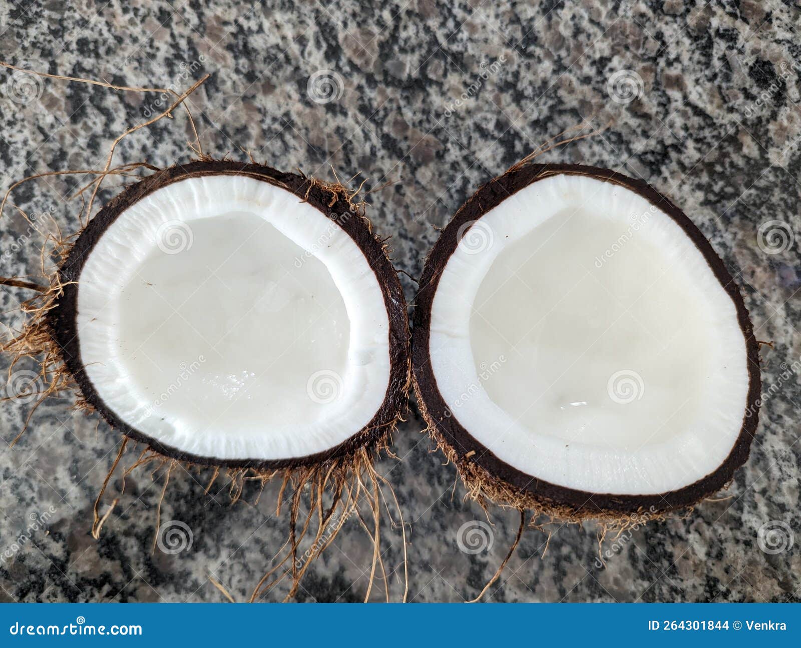 Fresh White Coconut Flesh Just Opened for Chutney Stock Photo - Image ...