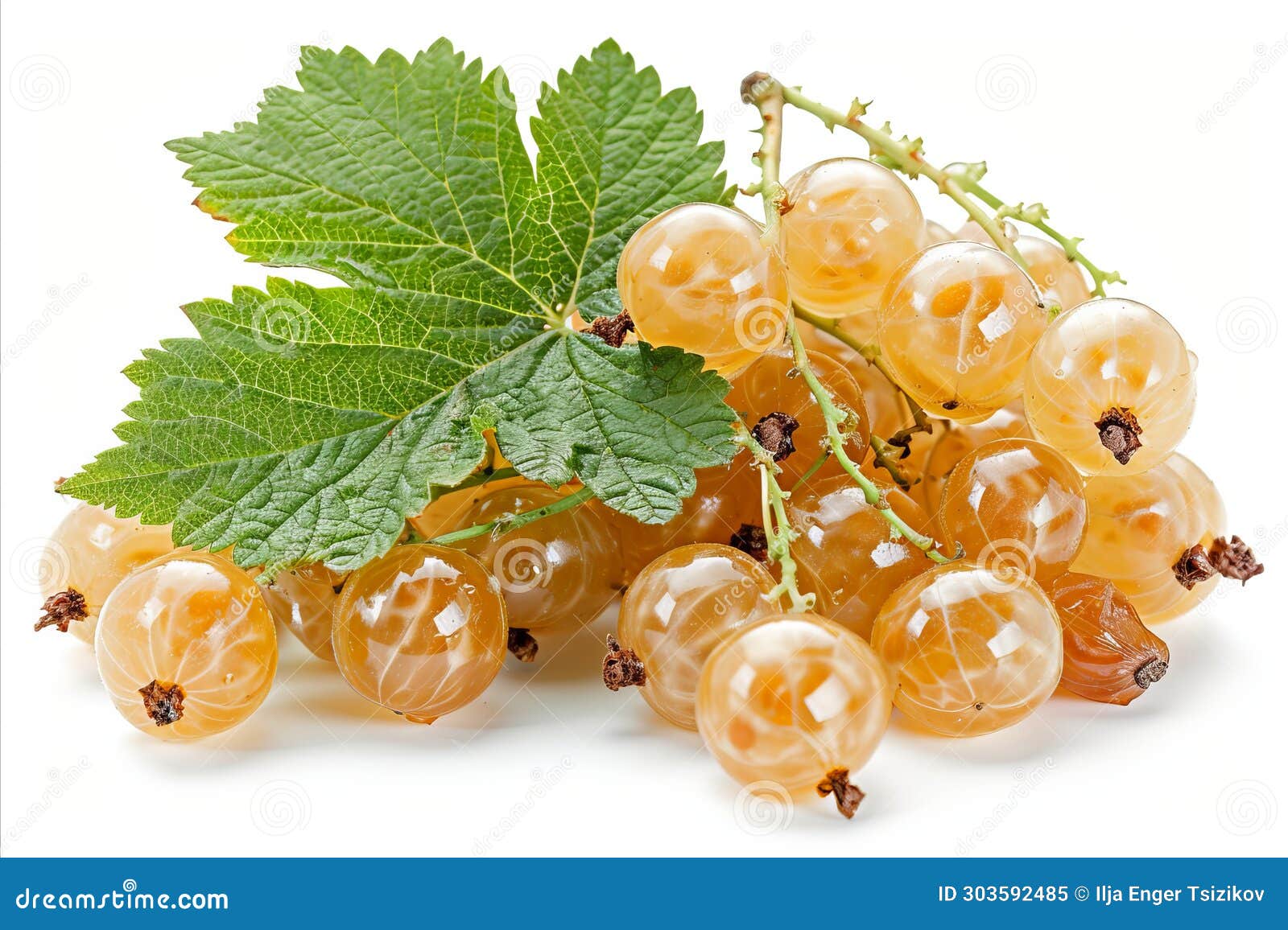 Fresh White Currant Fruit Isolated on White Background, Ideal for ...