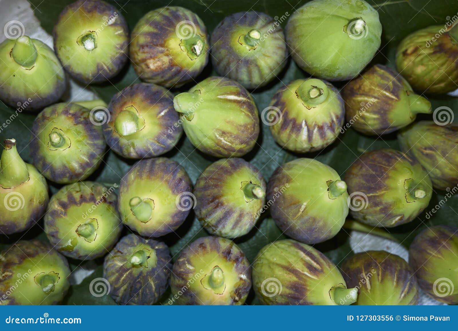 Fresh figs just collected stock photo. Image of moraceae - 127303556