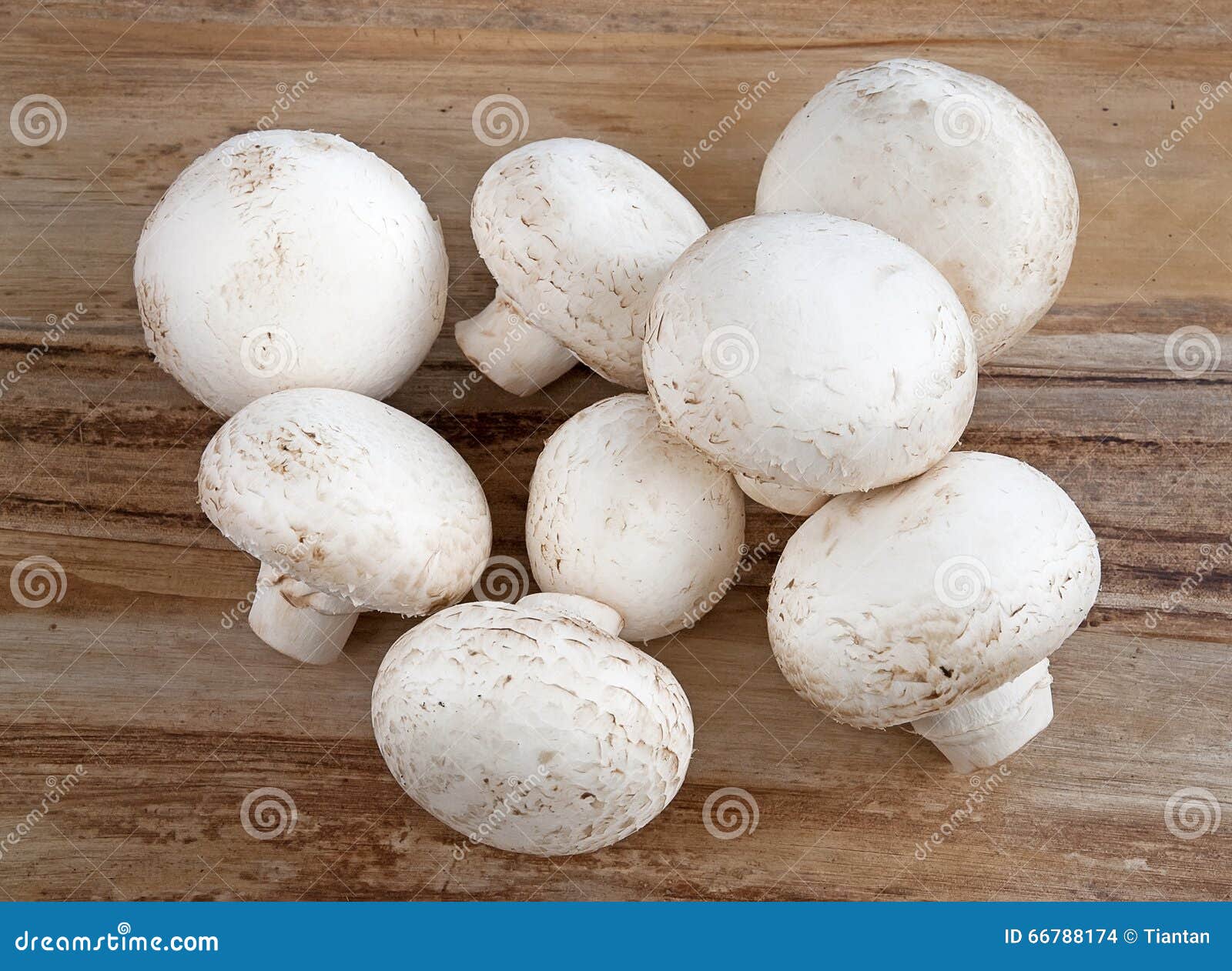 Fresh Champingnons Stock Photos - Free & Royalty-Free Stock Photos from ...