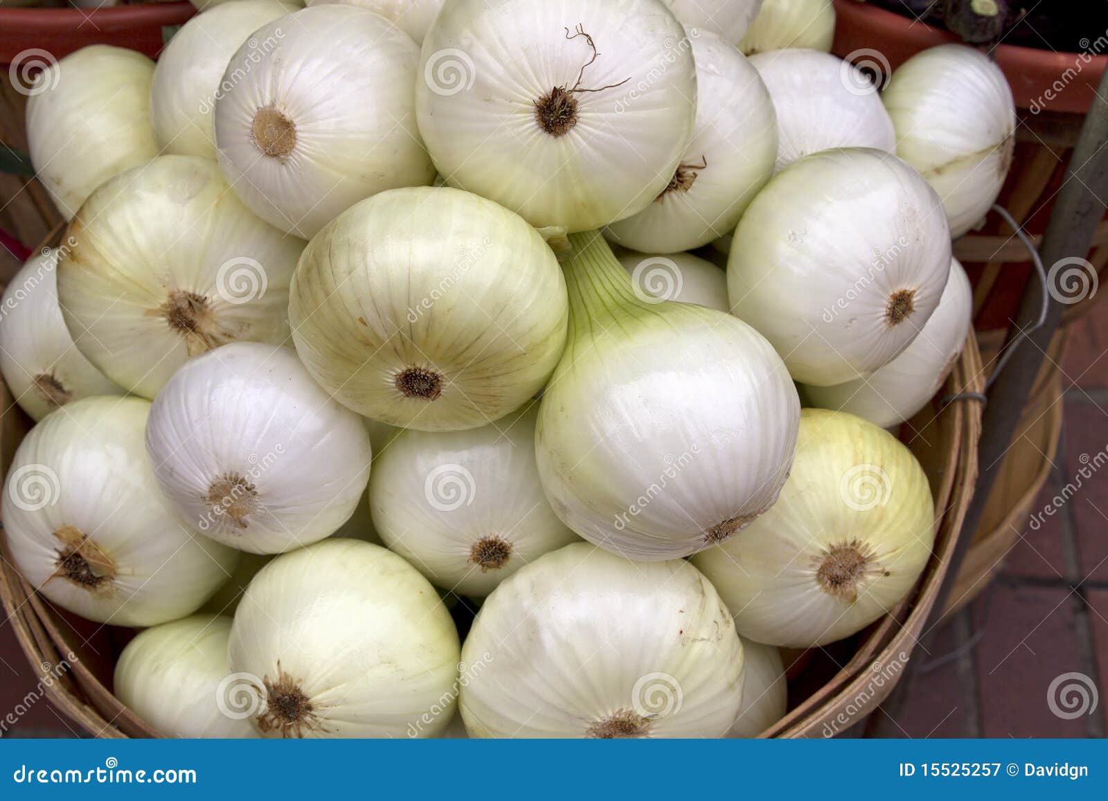 Red And White Onions In Jar Royalty-Free Stock Photo | CartoonDealer ...