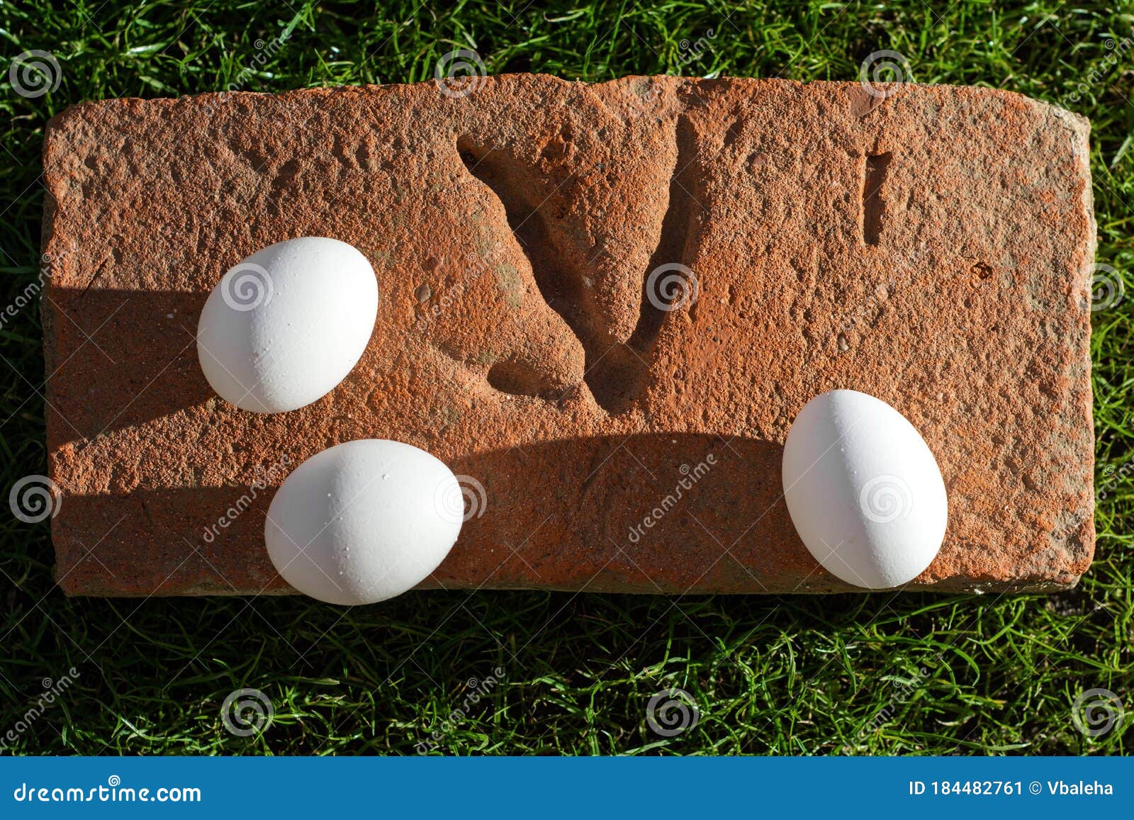 Fresh White Organic Eggs on a Brick with Chicken Paw Stock Image ...