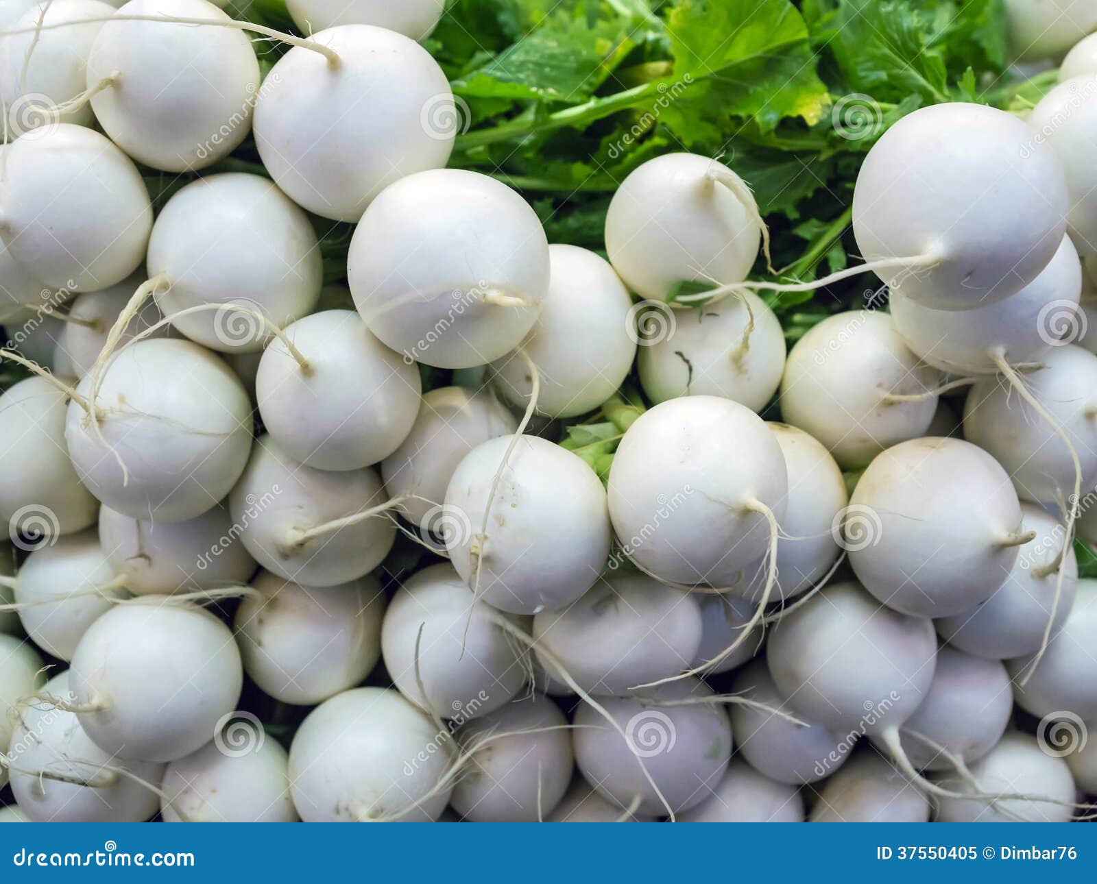 White Radish Background With Roots On The Table In Light And Shade ...
