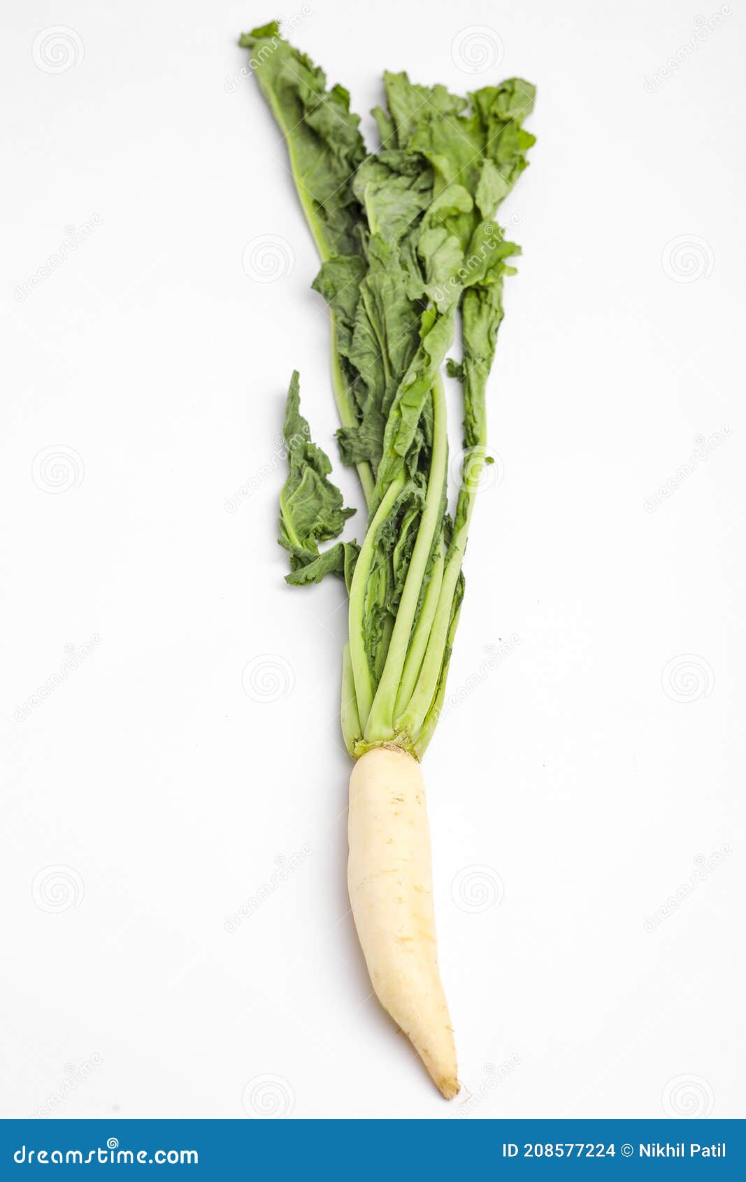 Fresh White Radish Isolated on White Background Stock Photo - Image of ...