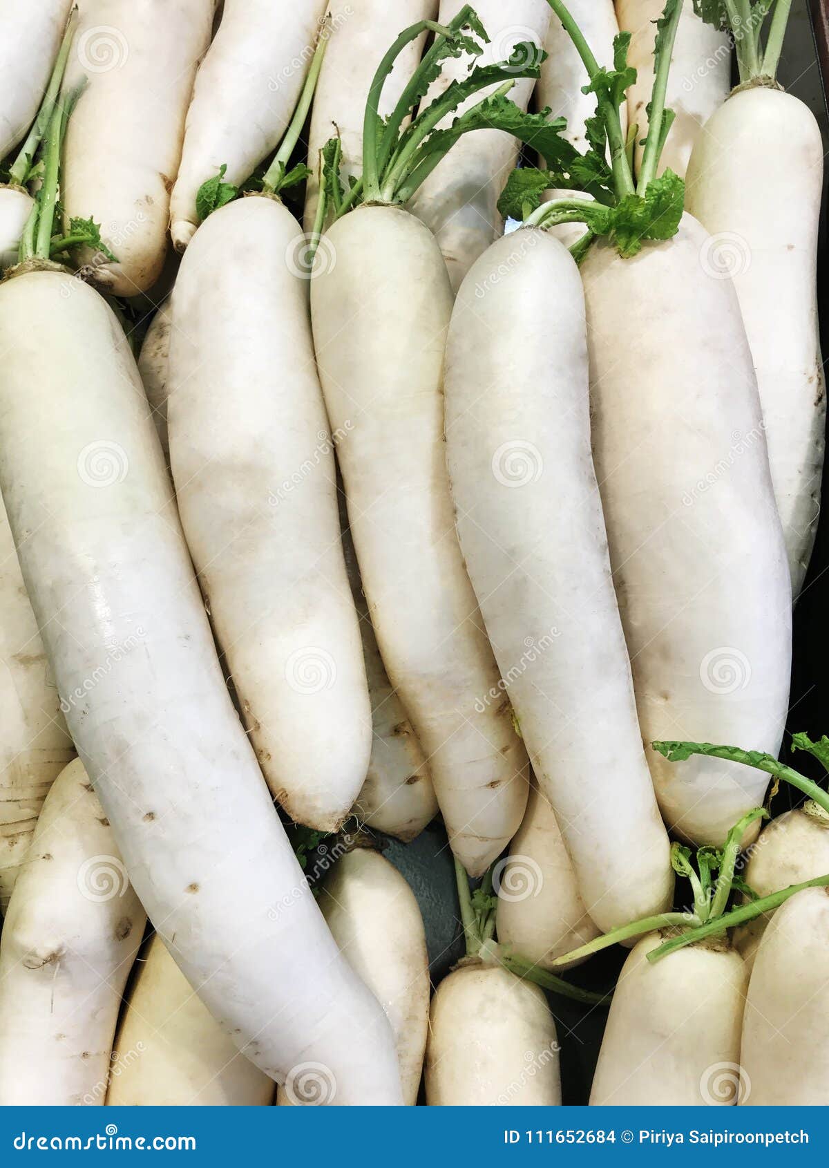 Fresh White Radish at Supermarket for Background. Stock Photo - Image ...