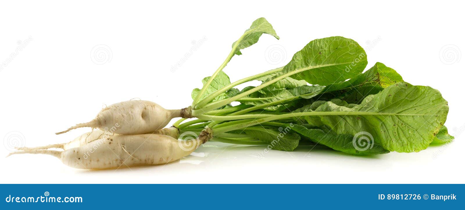Fresh white radish stock photo. Image of isolated, healthy - 89812726