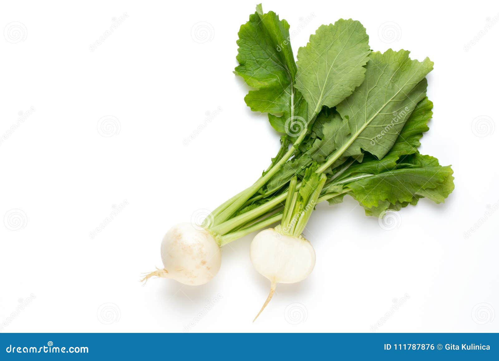 Fresh White Round Turnip Radish on White Background. Stock Photo ...