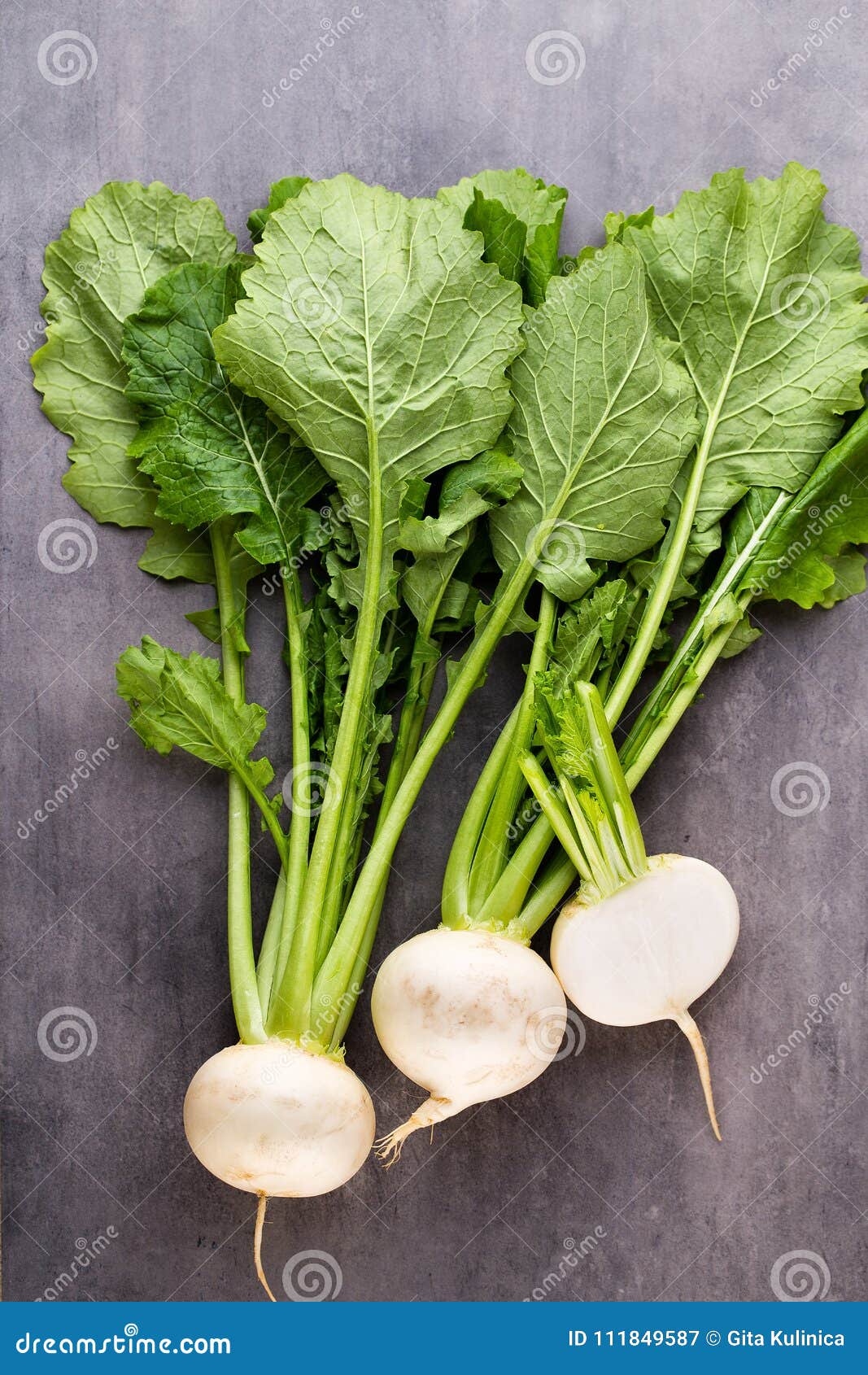 Fresh White Round Turnip Radish on White Background. Stock Image ...