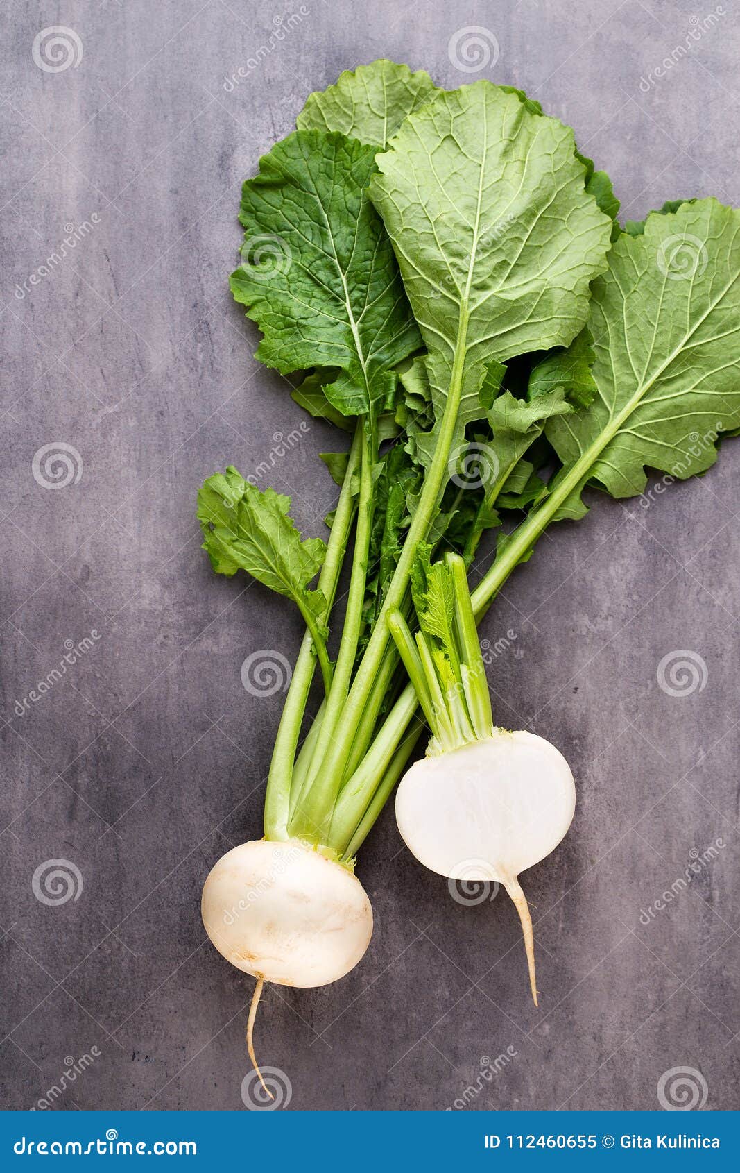 Fresh White Round Turnip Radish on White Background. Stock Image ...